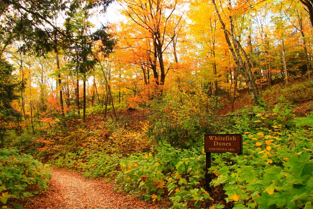 Whitefish Dunes State Park – Hiking and Biking – Door County Coastal Byway